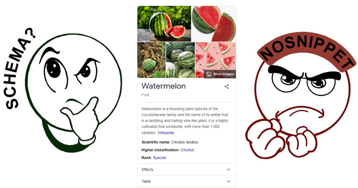 How to enrich your snippets on Google: tools and knowledge